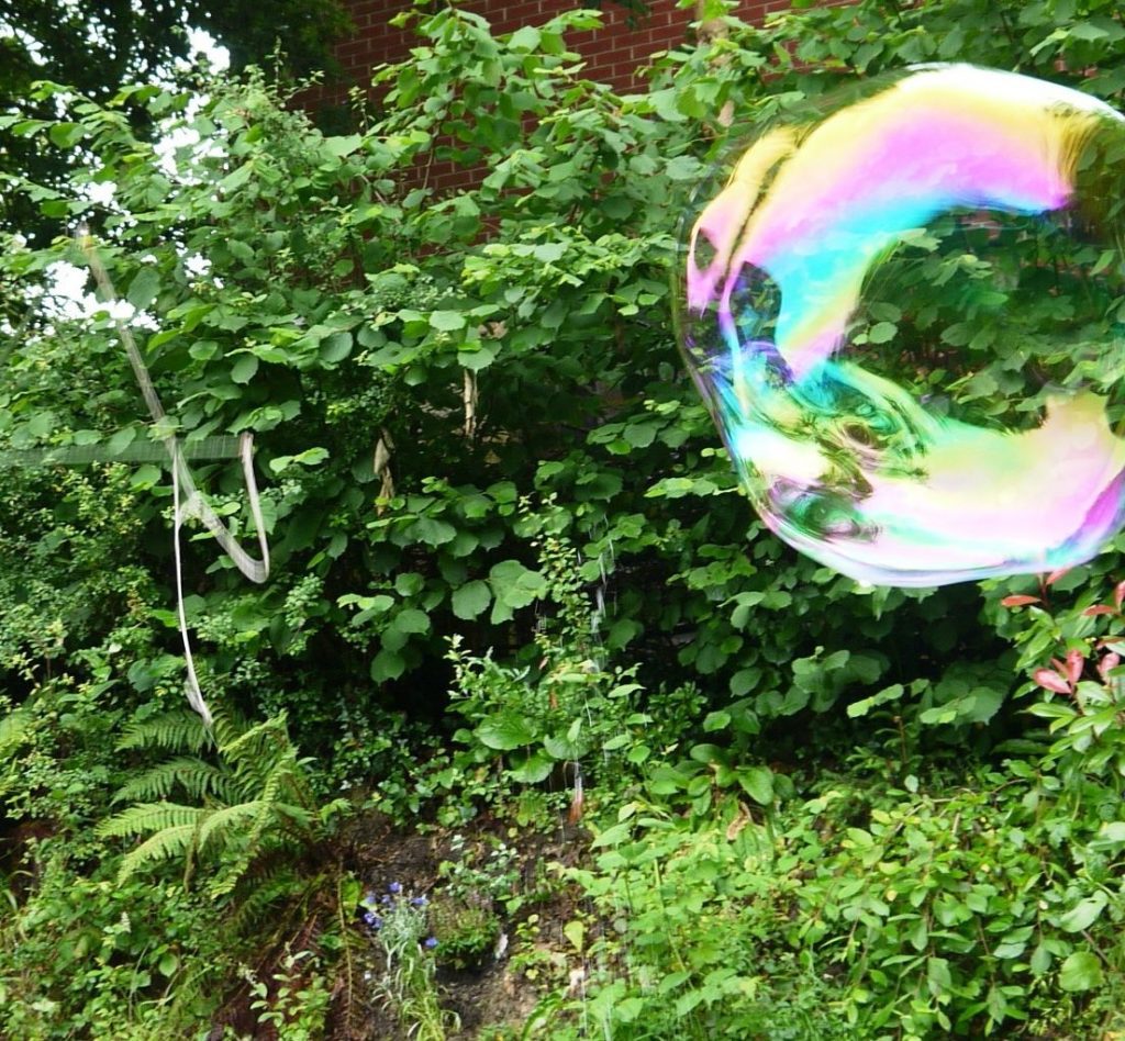 How to Make Giant Bubbles | Devon Science
