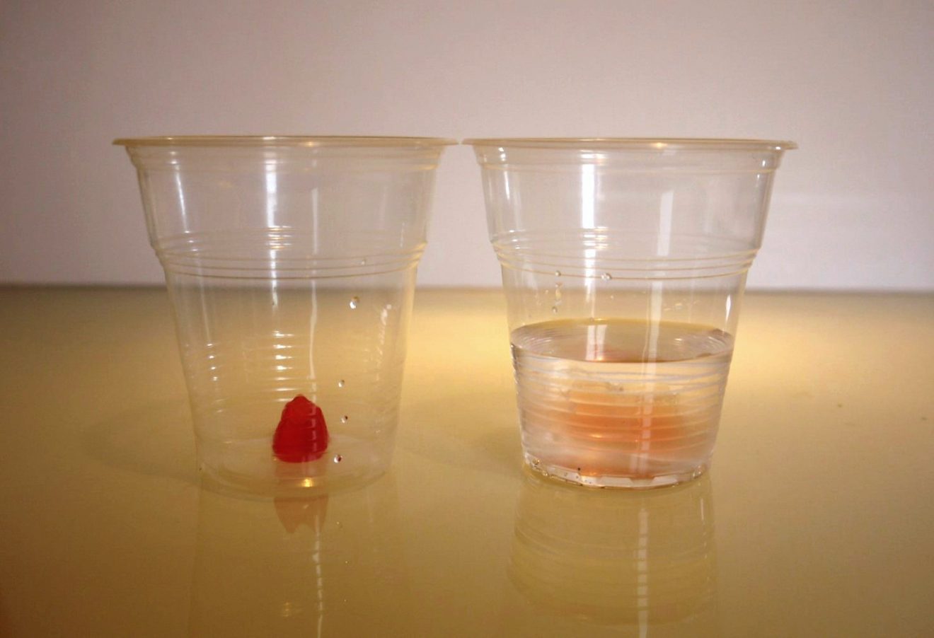 Gummy Bear Osmosis Experiment | Devon Science