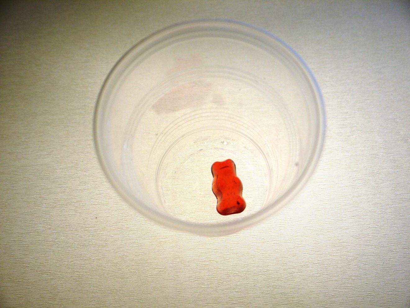 Gummy Bear Osmosis Experiment | Devon Science