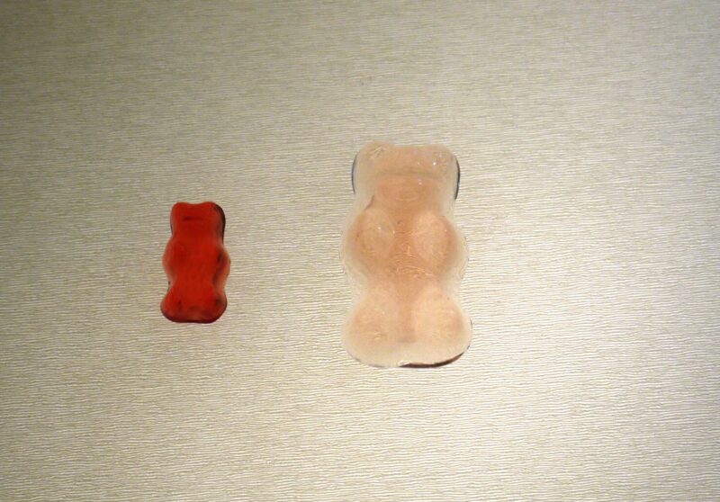 Gummy Bear Osmosis Experiment | Devon Science