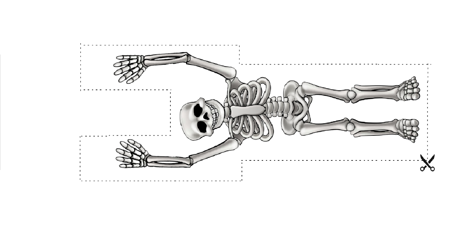 Balancing Skeleton Template | Devon Science
