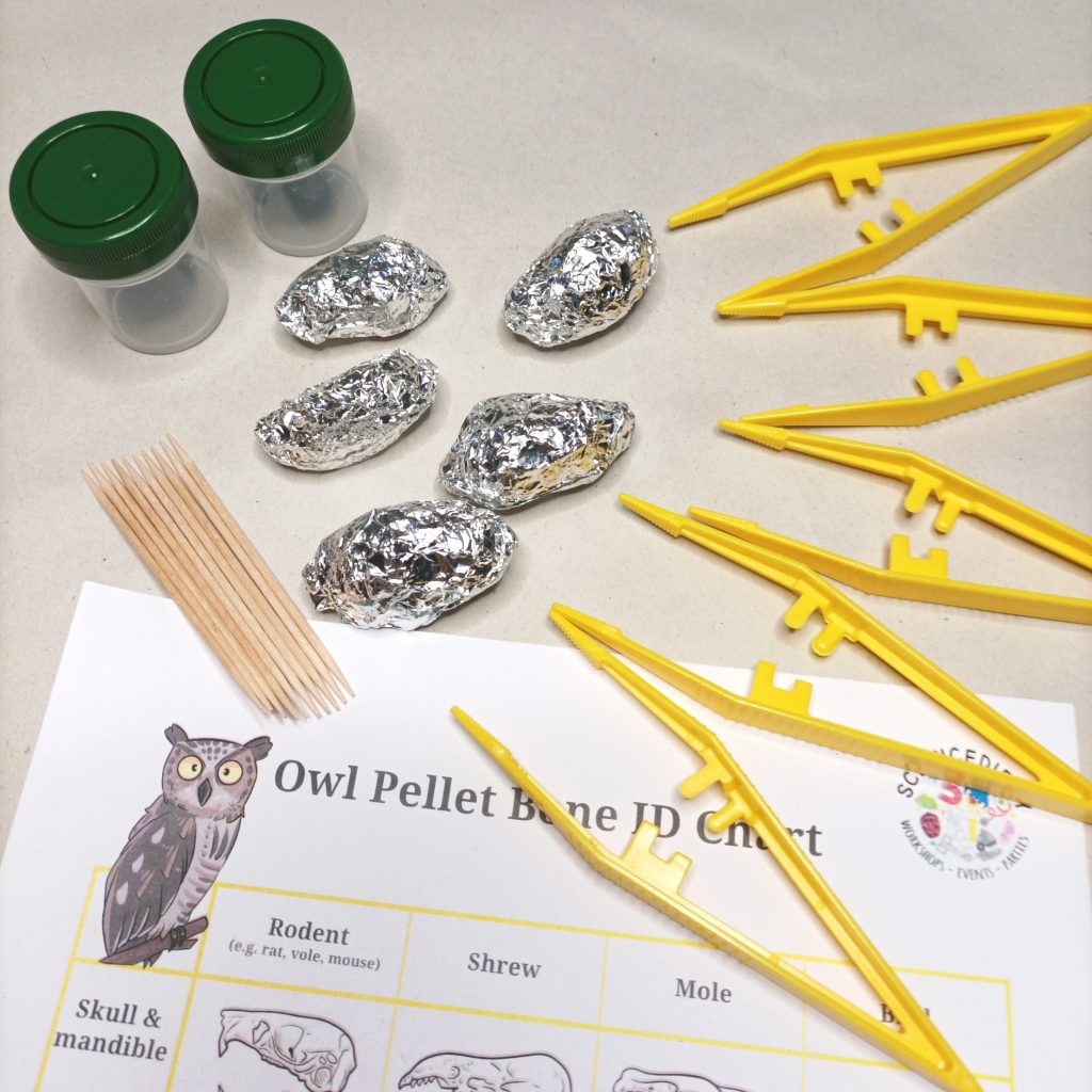 Shop | Science Kits | Owl Pellet Dissecting Kit x 5