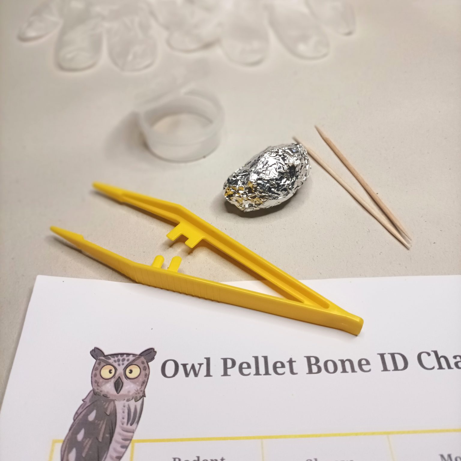 Science Kits | Owl Pellet Dissecting Kit