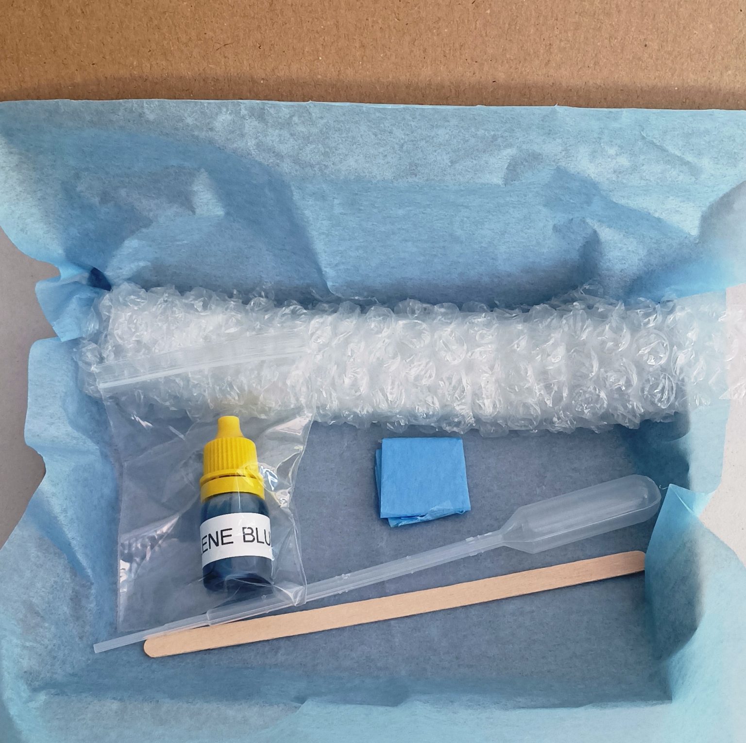 Methylene Blue Cell Staining Kit