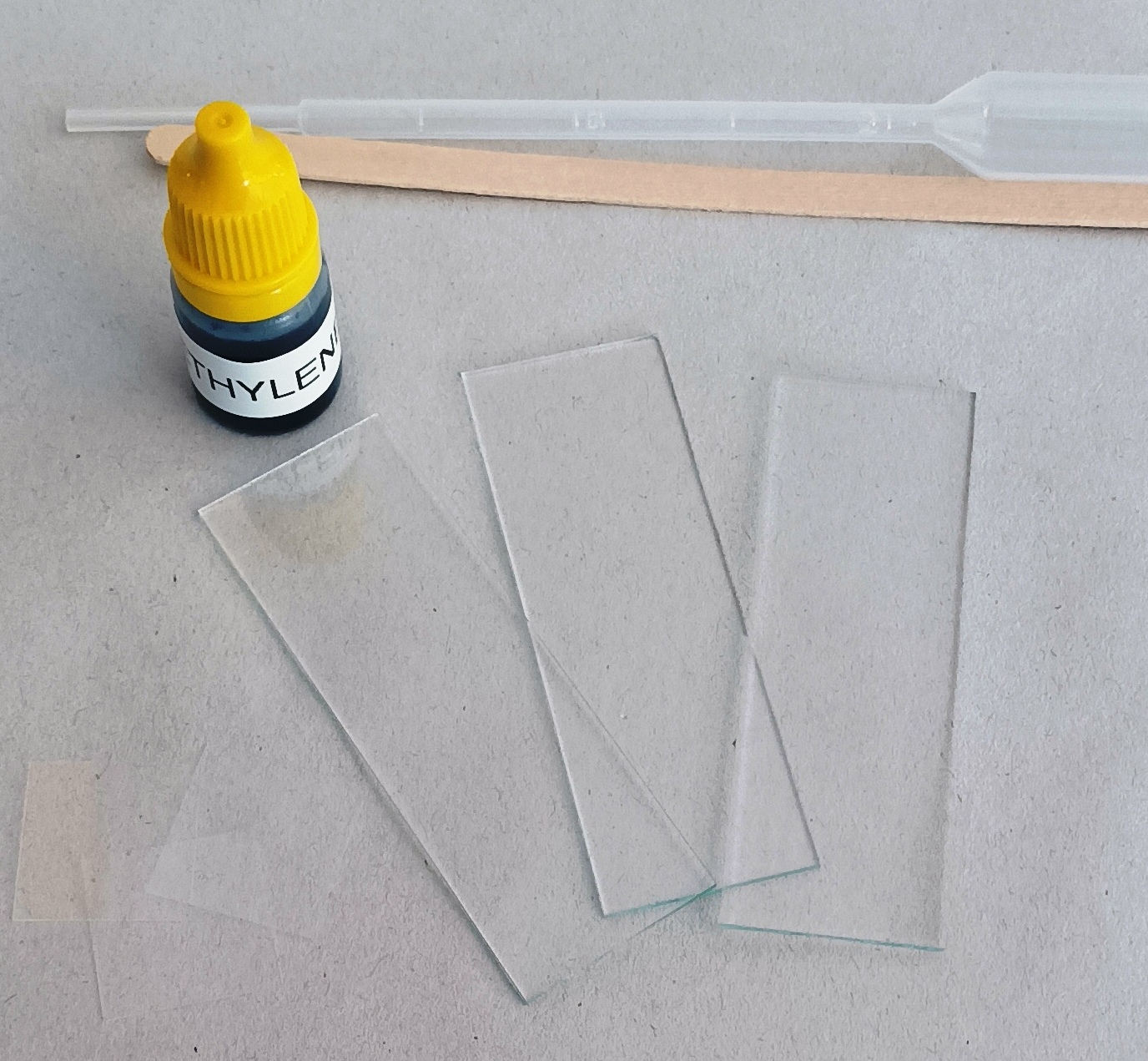 Methylene Blue Cell Staining Kit