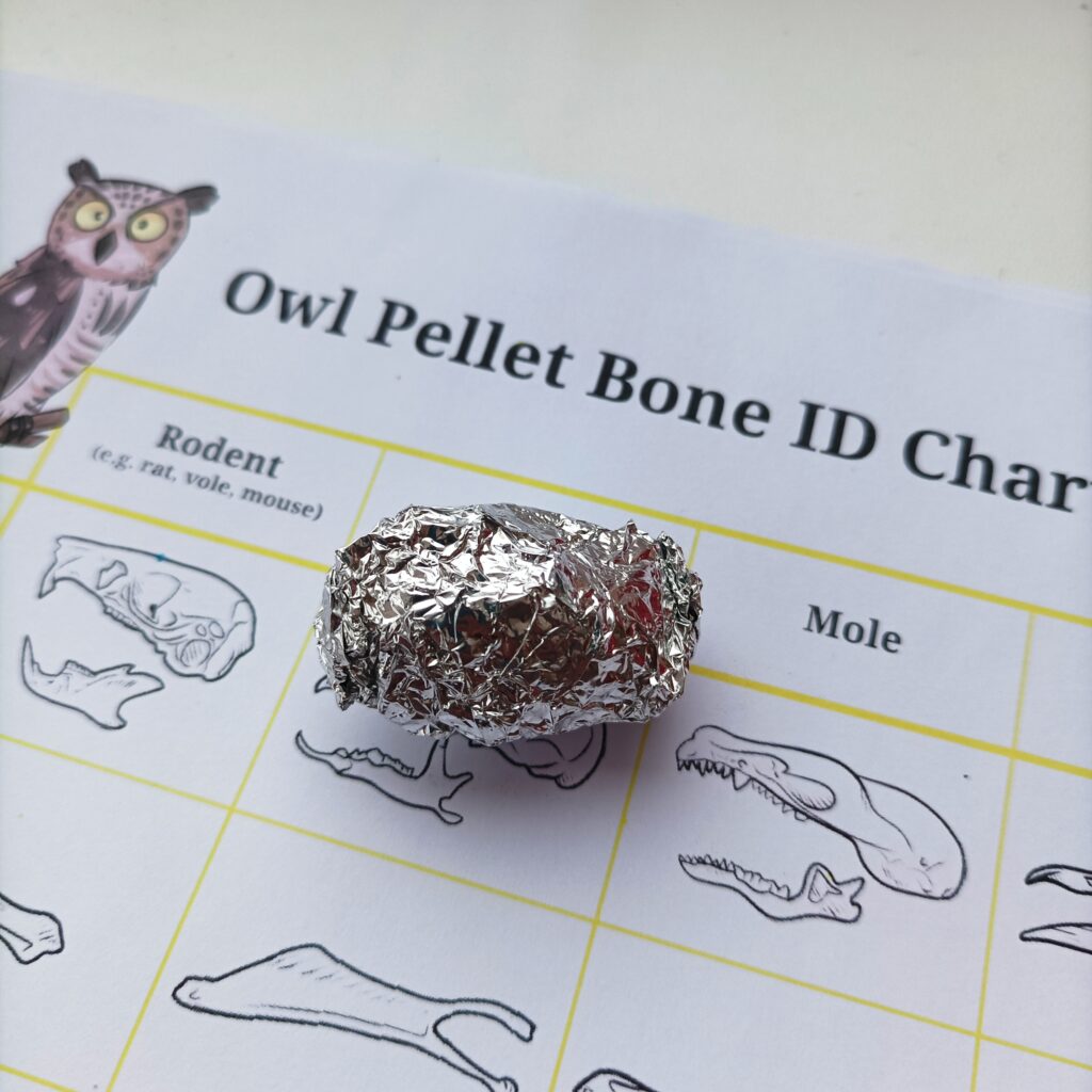 Shop | Science Kits | Single Owl Pellet