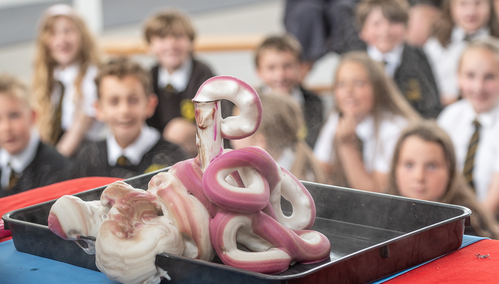 Science Shows | For Entertainment & Education